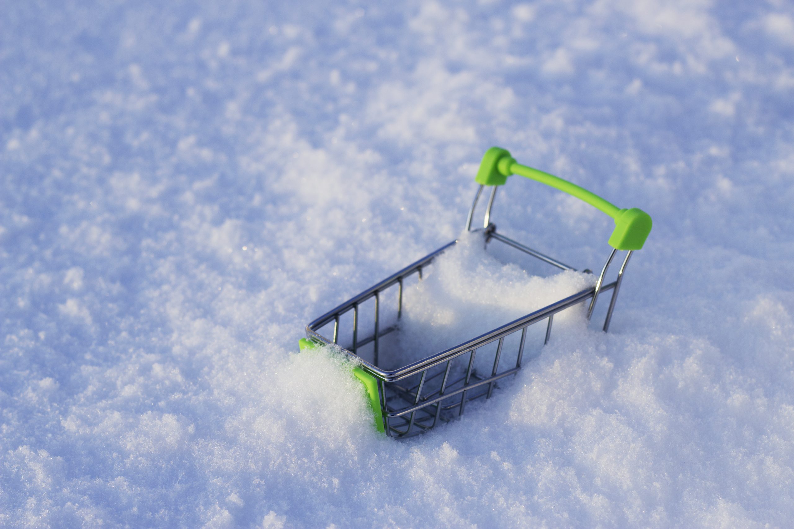 Winter Care Concerns: Paid Shopping Service & Client Safety
